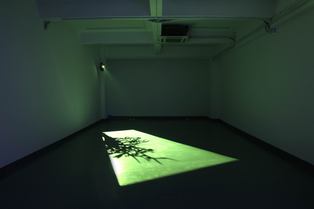 China Is the Way, and I Am the Way | Larry's List - Art Collector ...